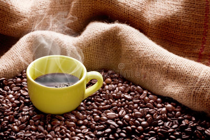 Delicious coffee stock photo. Image of gourmet, bubble - 13202388