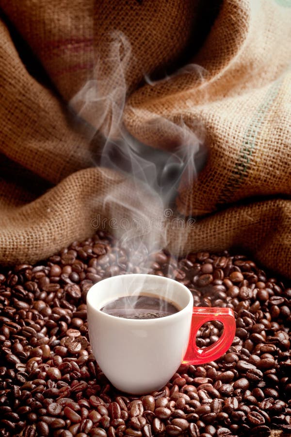 Delicious coffee stock image. Image of espresso, gourmet - 13202457