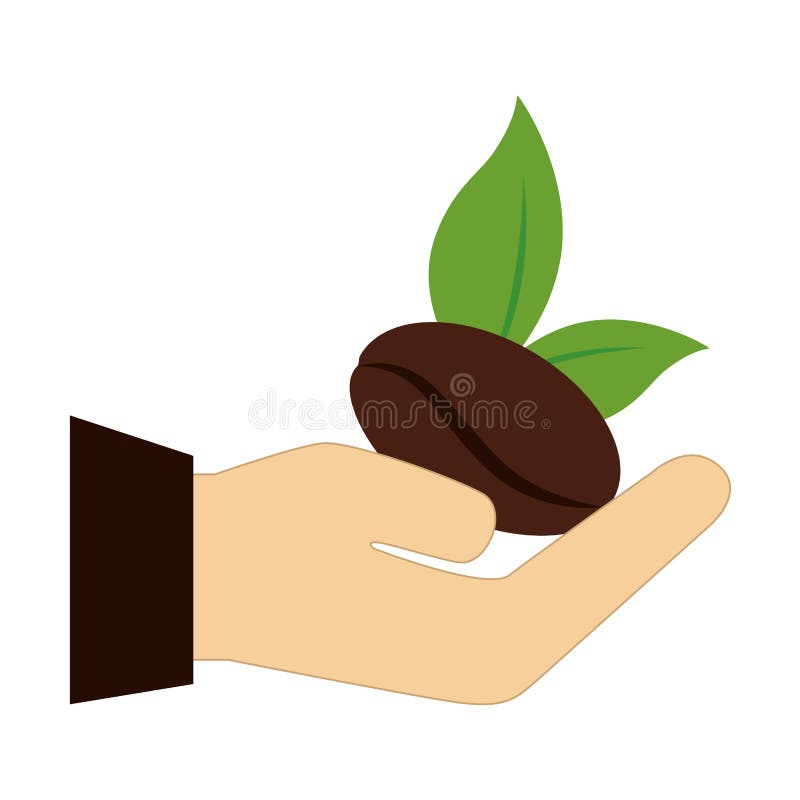 Delicious Coffee Seeds Icon Stock Vector - Illustration of beans ...