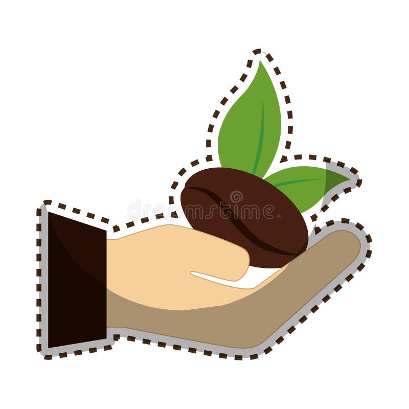 Delicious Coffee Seeds Icon Stock Vector - Illustration of cafe, food ...