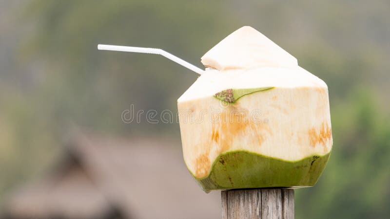 213 Coconut Tree Stump Background Stock Photos - Free & Royalty-Free ...