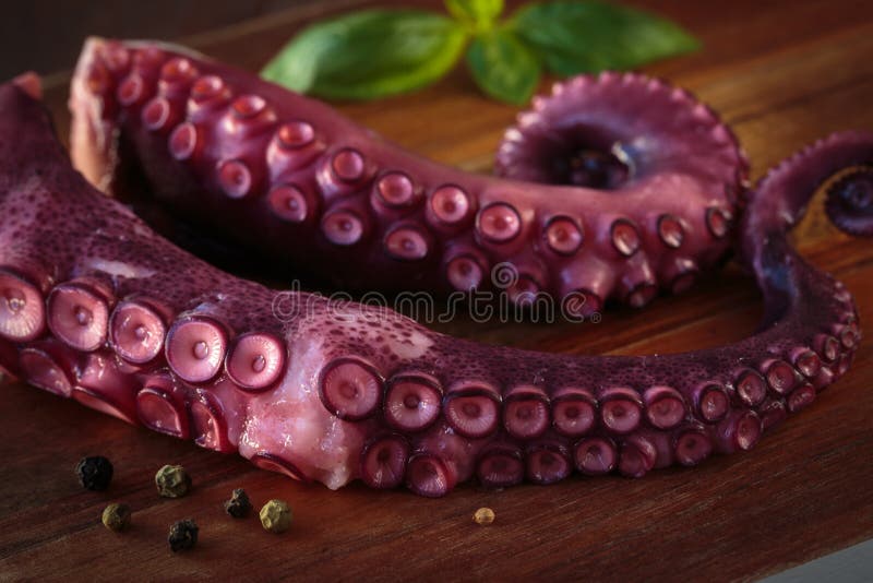Delicious coocked Octopus stock photo. Image of octopus - 77341690