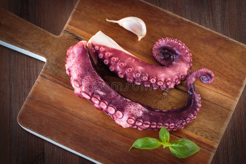 Delicious coocked Octopus stock photo. Image of tasty - 77341804