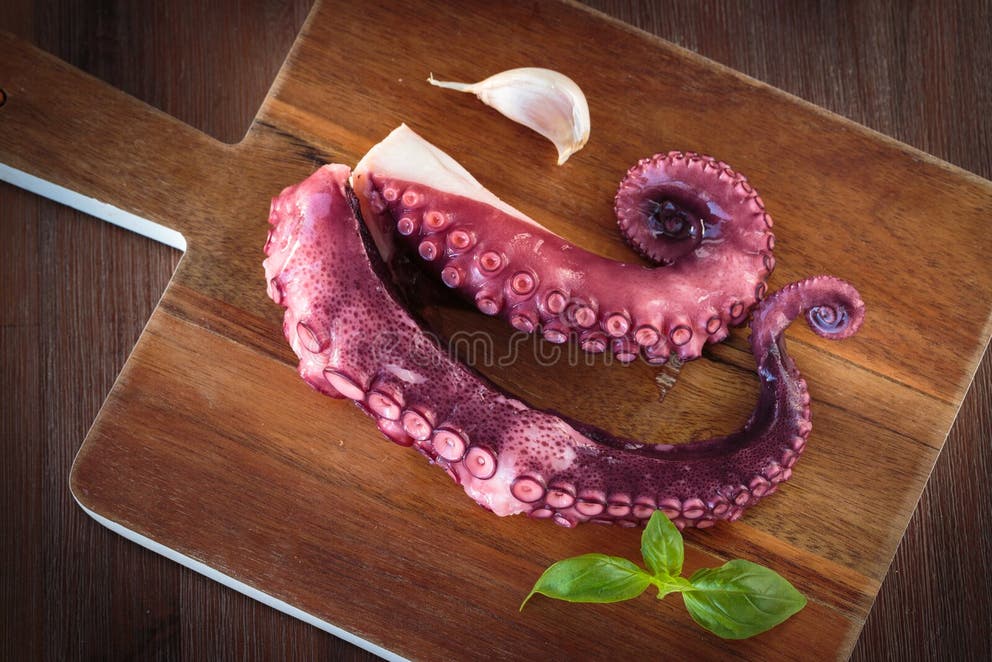 Delicious coocked Octopus stock photo. Image of tasty - 77341804