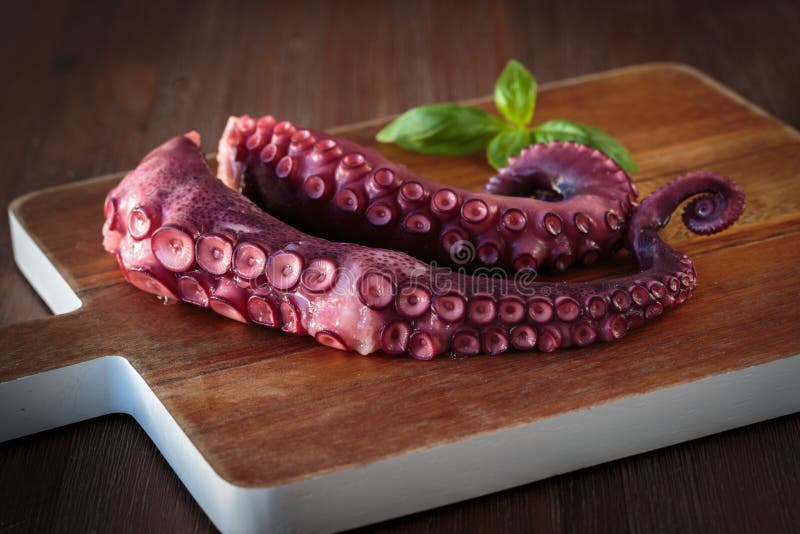 Delicious coocked Octopus stock photo. Image of appetizer - 77341850