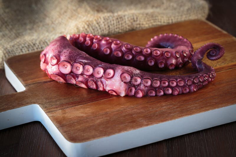 Delicious coocked Octopus stock image. Image of purple - 77341899