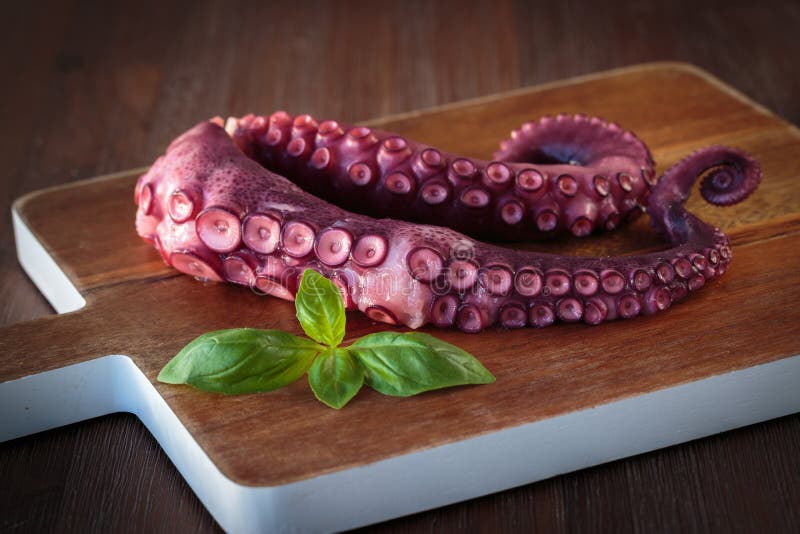 Delicious coocked Octopus stock photo. Image of seafood - 77341980
