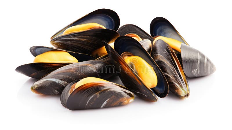 Delicious Cooked Mussels in Shells on White Background, Top View. Stock ...