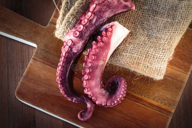 Delicious cooked Octopus stock photo. Image of delicious - 77341826