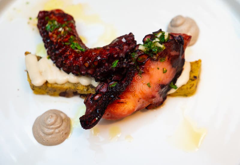 Delicious Cooked Octopus Tentacles on Plate Stock Photo - Image of ...