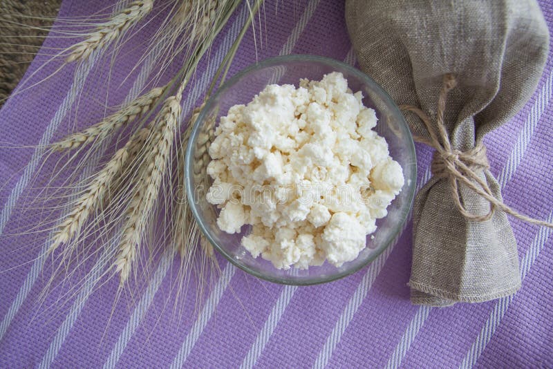 Delicious cottage cheese stock image. Image of breakfast - 60161601