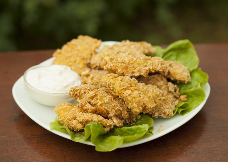 Delicious Crispy chicken stock photo. Image of delisious - 144107164