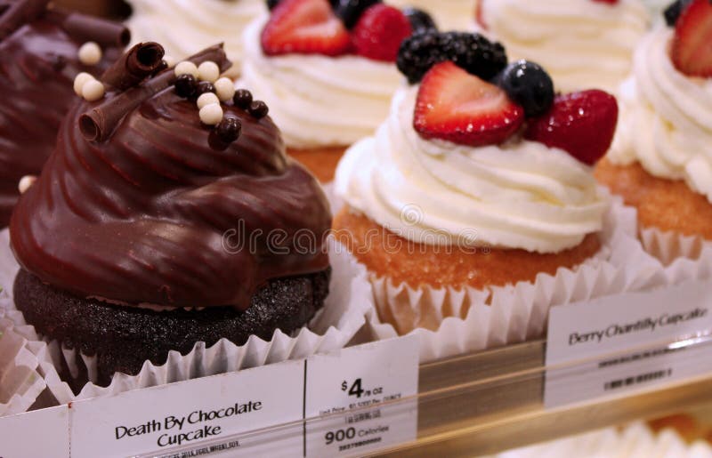 Delicious Decorated Gourmet Cupcakes in a Bakery Display Case Stock ...