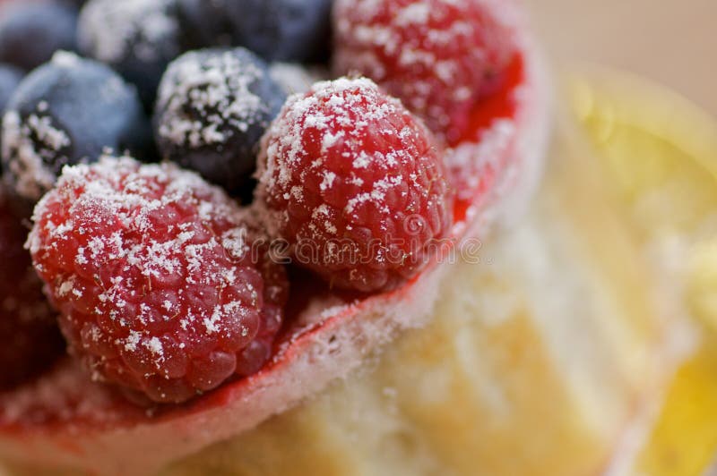 Delicious dessert stock photo. Image of cake, decadent - 8498276