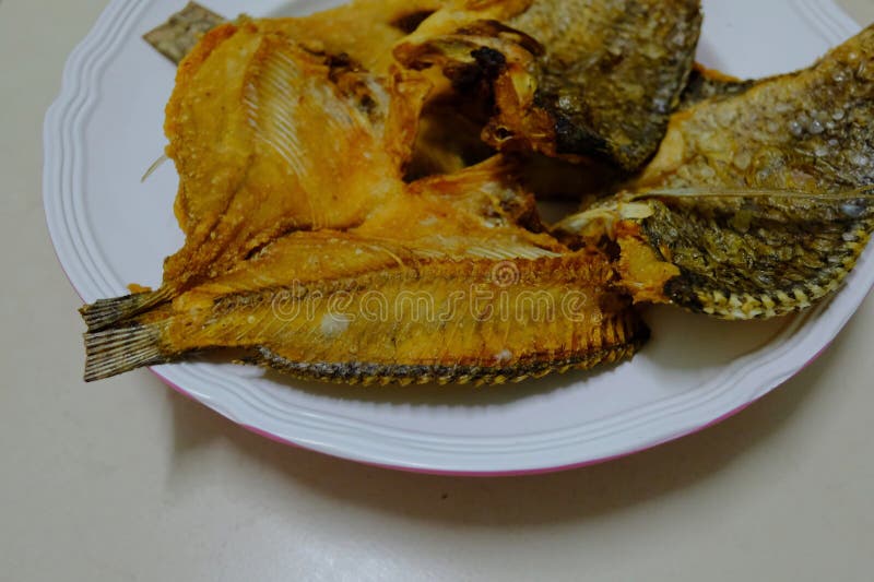 Delicious dried fish stock photo. Image of delicious - 179803728