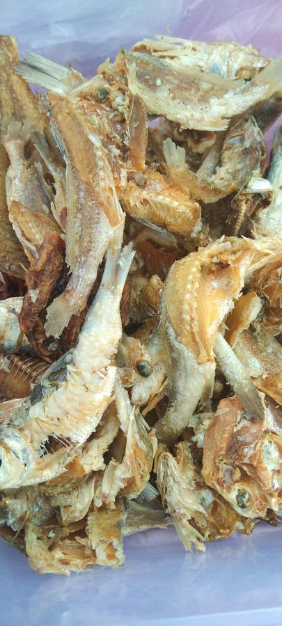 Delicious Dry Fried Salted Fish Stock Image - Image of delicious, fried ...