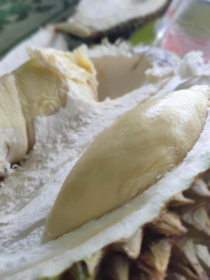 Delicious Durian Fruit and Ready To Eat Stock Photo - Image of buds ...