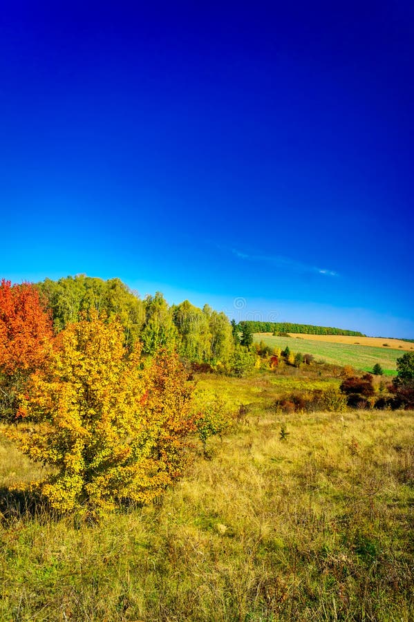 Delicious, Fabulous Fall Over Fields. Stock Image - Image of nature ...