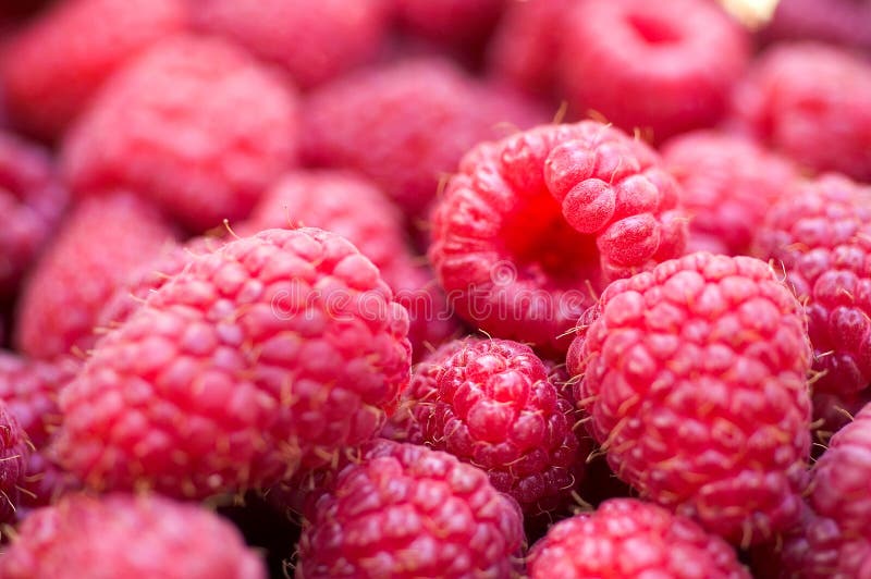Delicious First Class Fresh Raspberries Close Up Texture Background ...