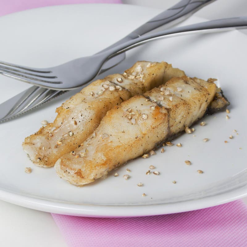 Delicious fish fillet stock image. Image of lunch, grilled - 22708163