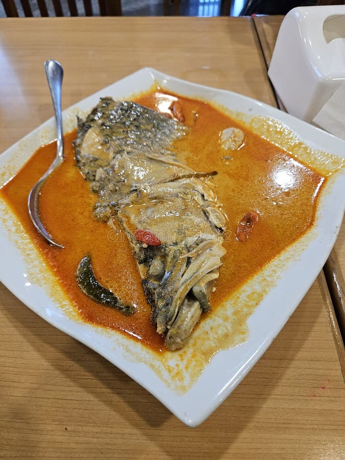 Delicious Fish Head Soup with Curry Stock Image - Image of head, curry ...