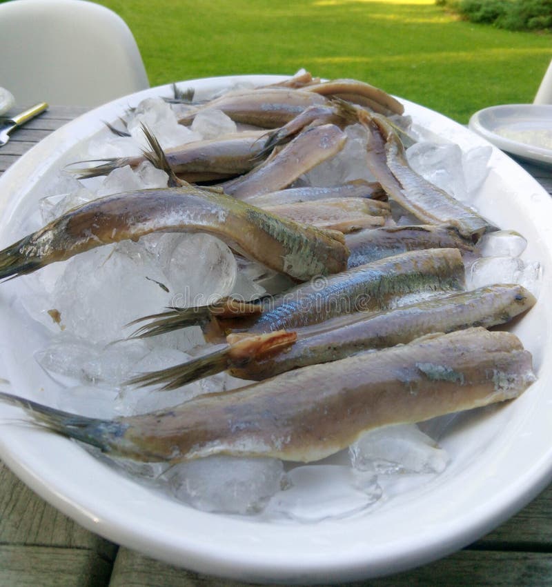 Delicious fish on ice stock photo. Image of double, delicacy - 95077164