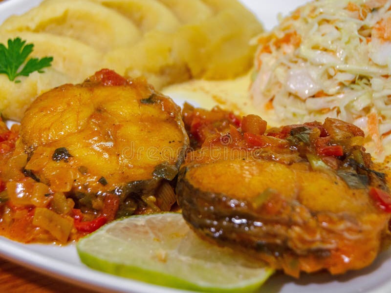 Delicious Fish Served with Mashed Potatoes and Vegetable Salad Stock ...