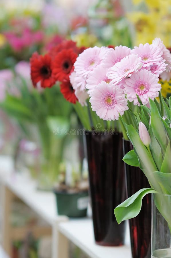 Delicious flowers stock photo. Image of delicious, botany - 23757842