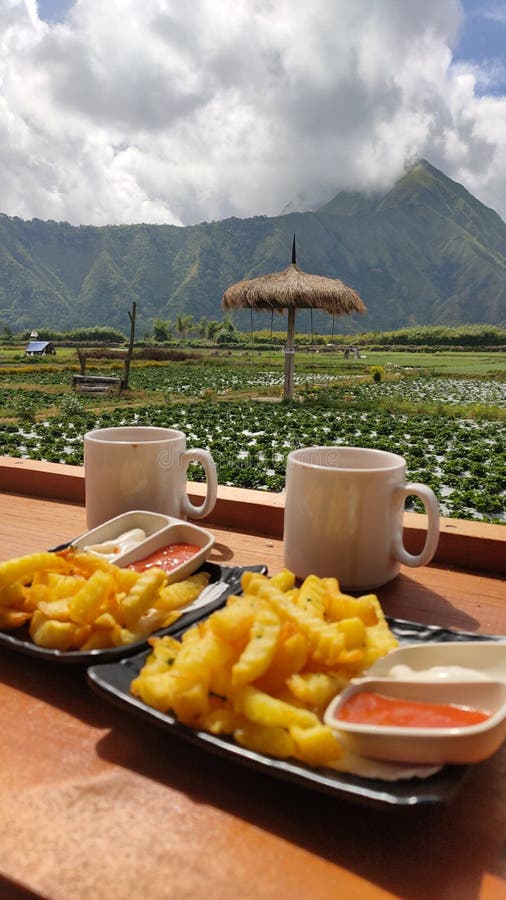 French Frice Stock Photos - Free & Royalty-Free Stock Photos from ...