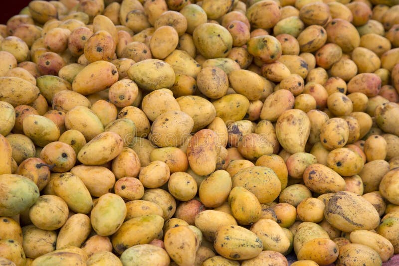 Delicious fresh Almond stock image. Image of delicious - 44786809