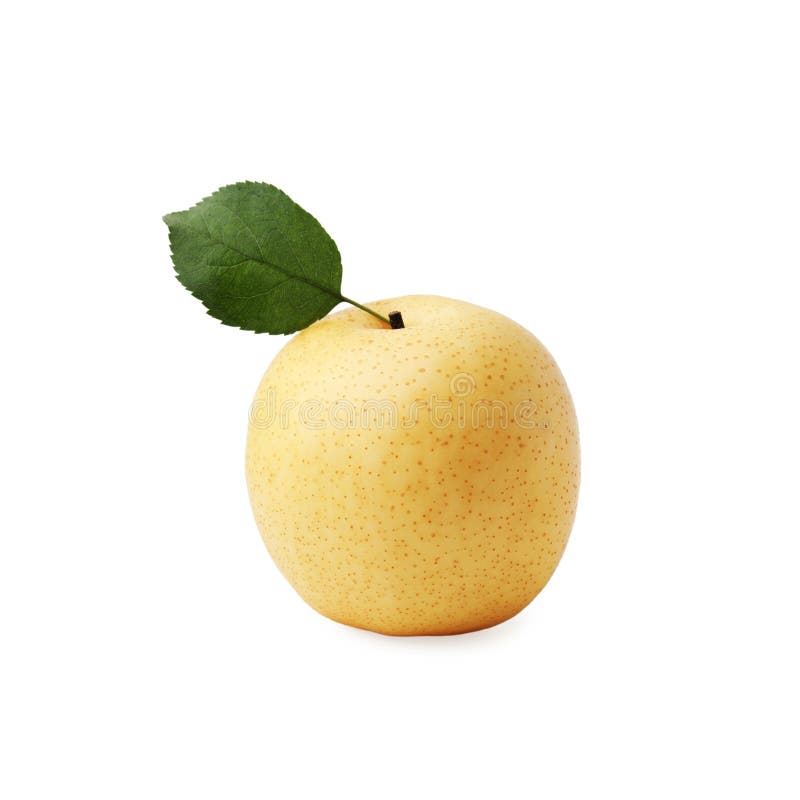 Delicious Fresh Apple Pear and Green Leaf Isolated on White Stock Image ...
