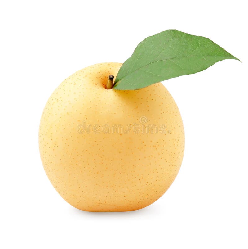 Delicious Fresh Apple Pear Isolated on White Stock Image - Image of ...