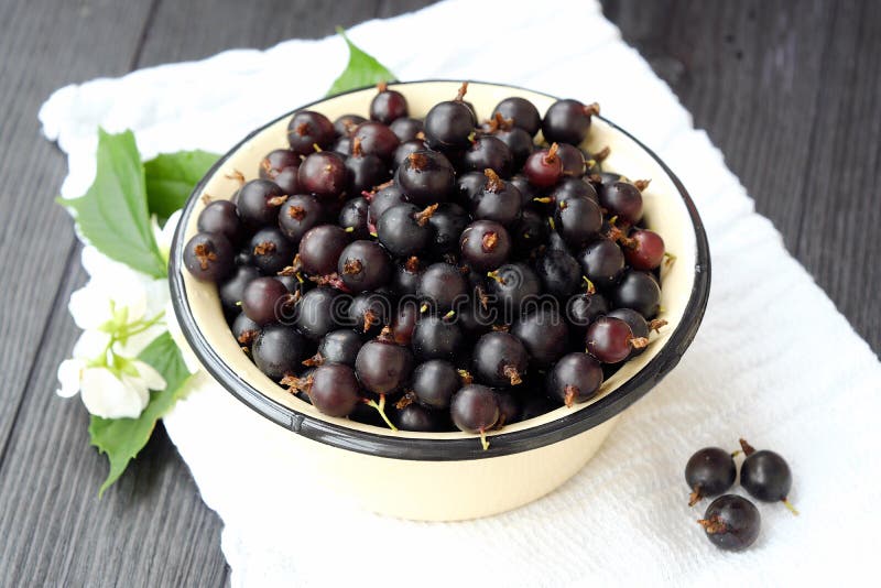 Delicious Fresh Black Currants in Plate Stock Photo - Image of ...