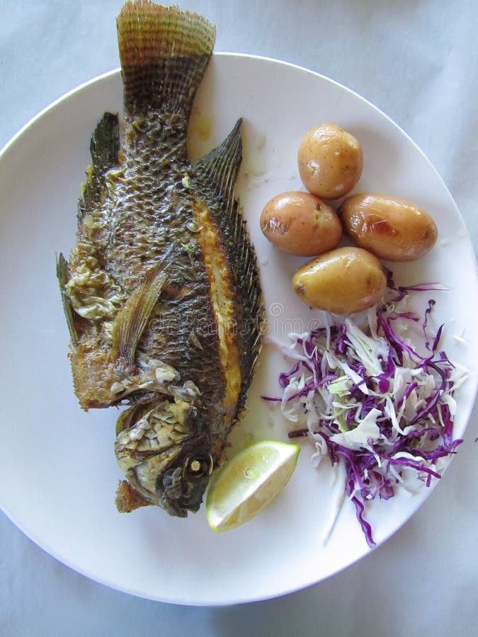 Delicious and Fresh Dish with Baked Fish Top View Stock Image - Image ...