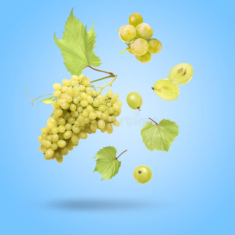 Delicious Fresh Grapes and Leaves Falling on Light Blue Background ...