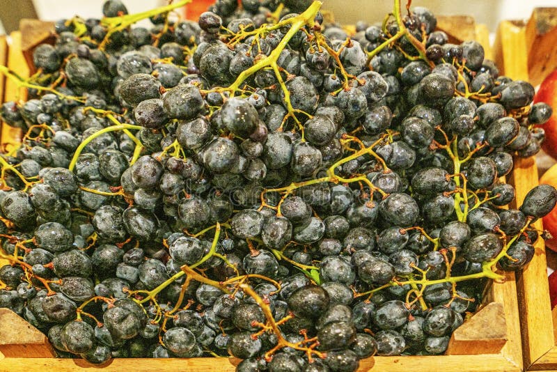 Delicious Fresh Grapes on the Open Buffet Stock Image - Image of fresh ...