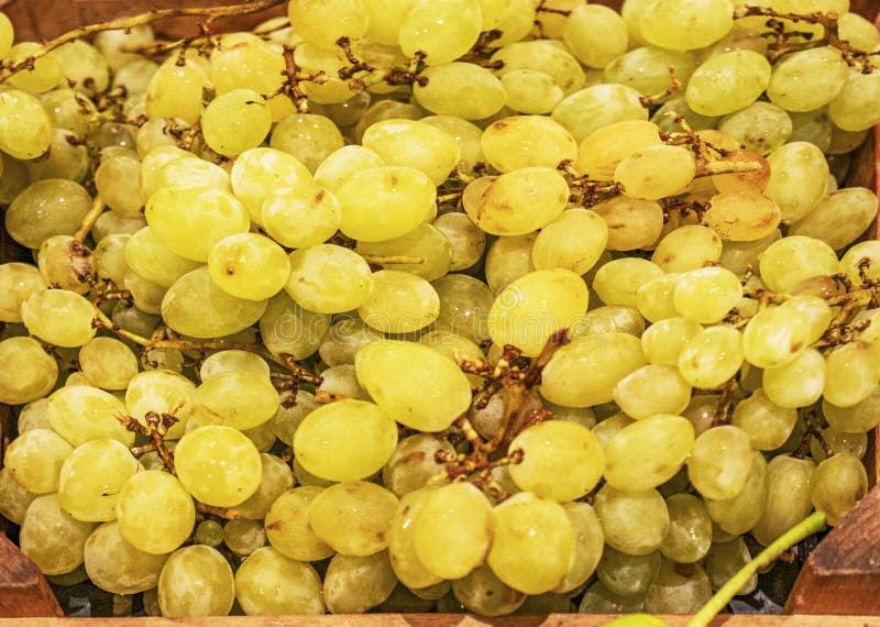 Delicious Fresh Grapes on the Open Buffet Stock Photo - Image of green ...