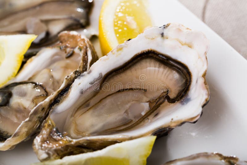 Opened Raw Oysters with Lemon Stock Photo - Image of morning, shellfish ...