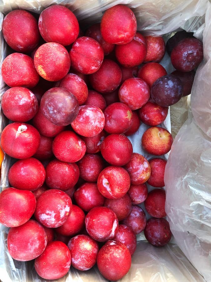 Delicious Fresh Red Plums on the Market View Stock Photo - Image of ...