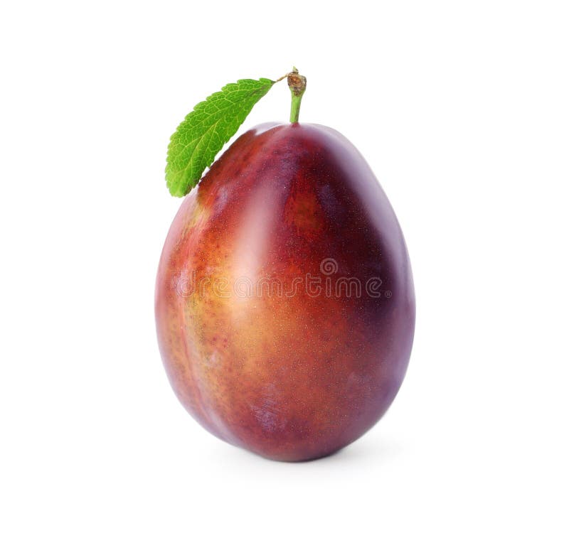 Delicious Fresh Ripe Plum Isolated on White Stock Image - Image of ...