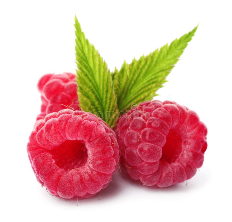 Delicious Fresh Ripe Raspberries with Leaves Stock Image - Image of ...
