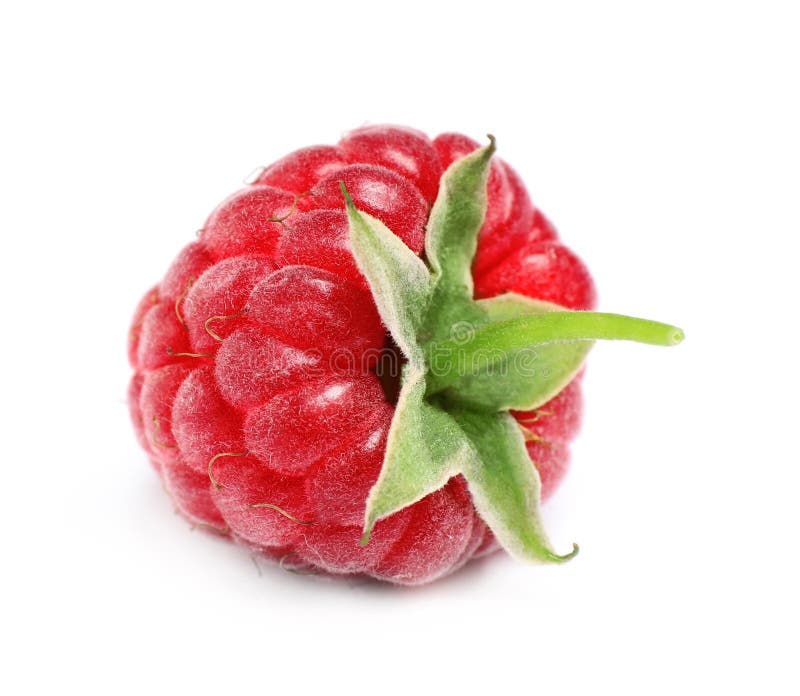 Delicious Fresh Ripe Raspberry Isolated on White Stock Image - Image of ...