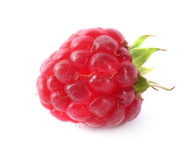 Delicious Fresh Ripe Raspberry Isolated Stock Photo - Image of natural ...