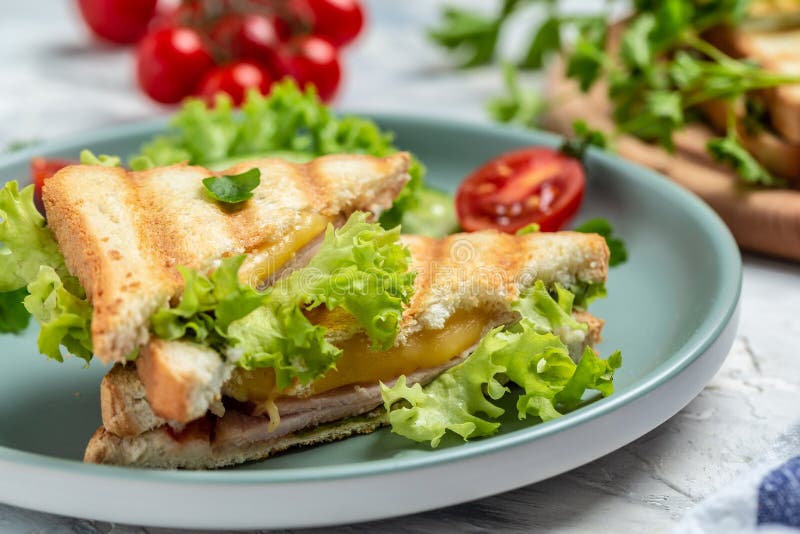 Delicious Fresh Toast Grill with Cheese and Ham. Pressed and Toasted ...