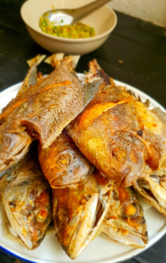 Delicious fried fish stock photo. Image of invertebrate - 178438930