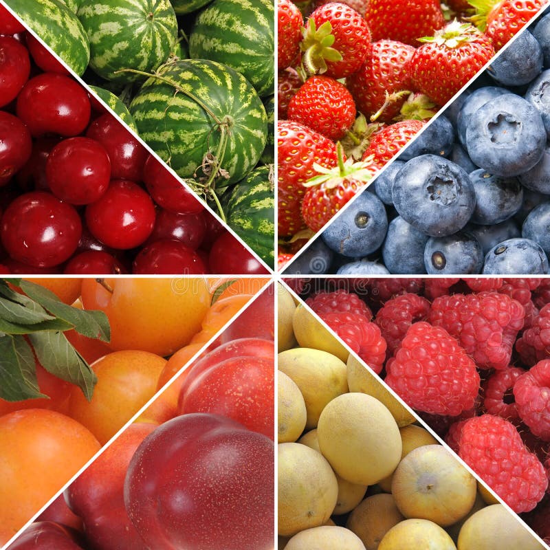 Summer fruit stock image. Image of melons, details, nectarines - 5863763