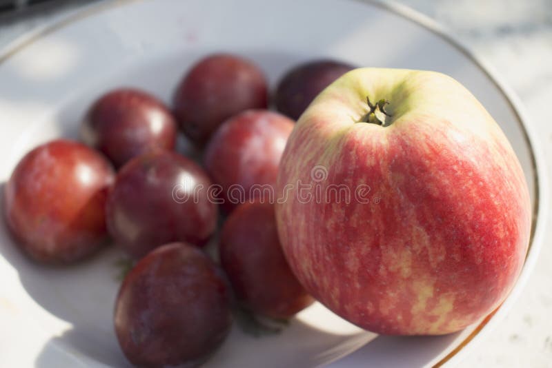 Delicious Fruits in the Warm Summer Sun Stock Image - Image of ...