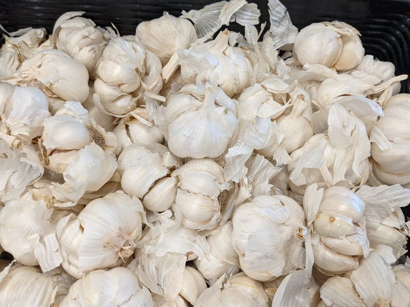 Delicious Garlic Available for Purchase Stock Image - Image of meal ...