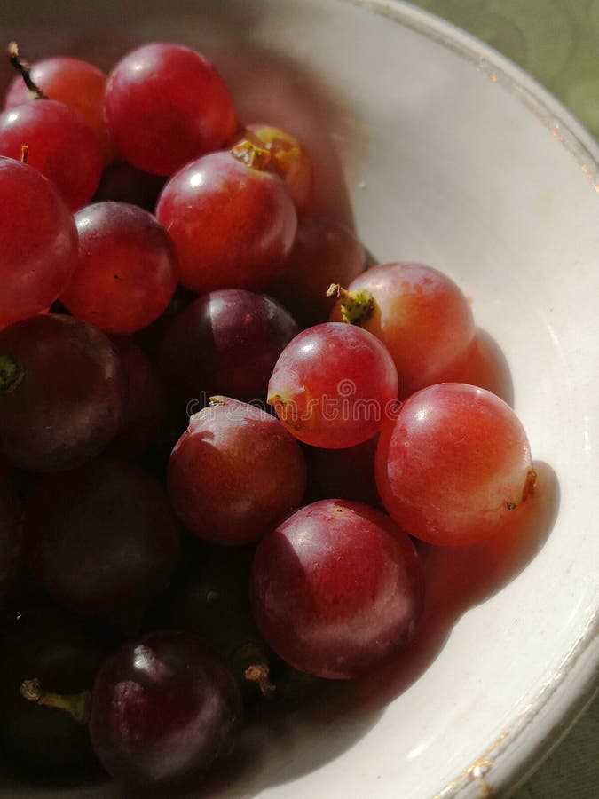 Delicious Grape stock image. Image of macro, grapevine - 15724641