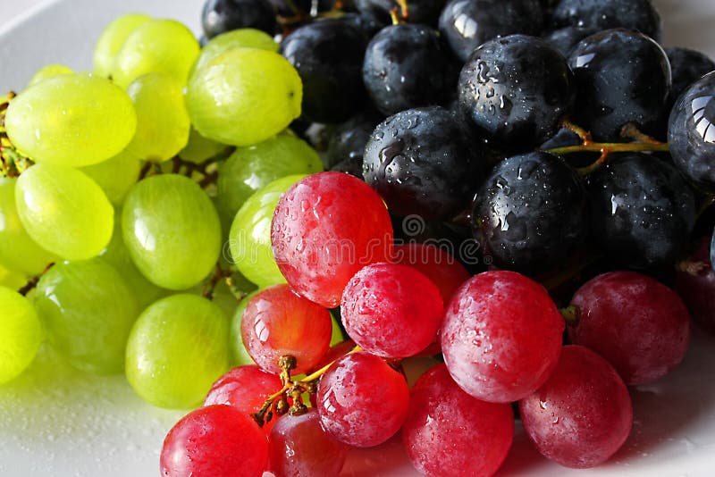 Delicious Grapes stock image. Image of ferment, beverage - 12208837